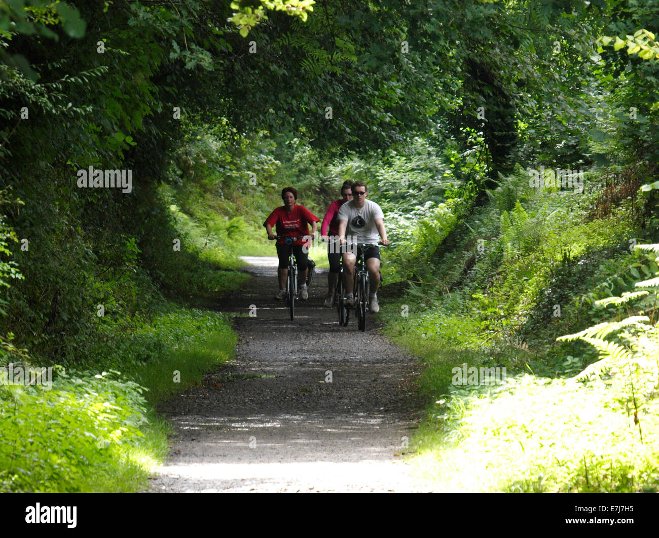 The camel trail hi-res stock photography and images - Alamy