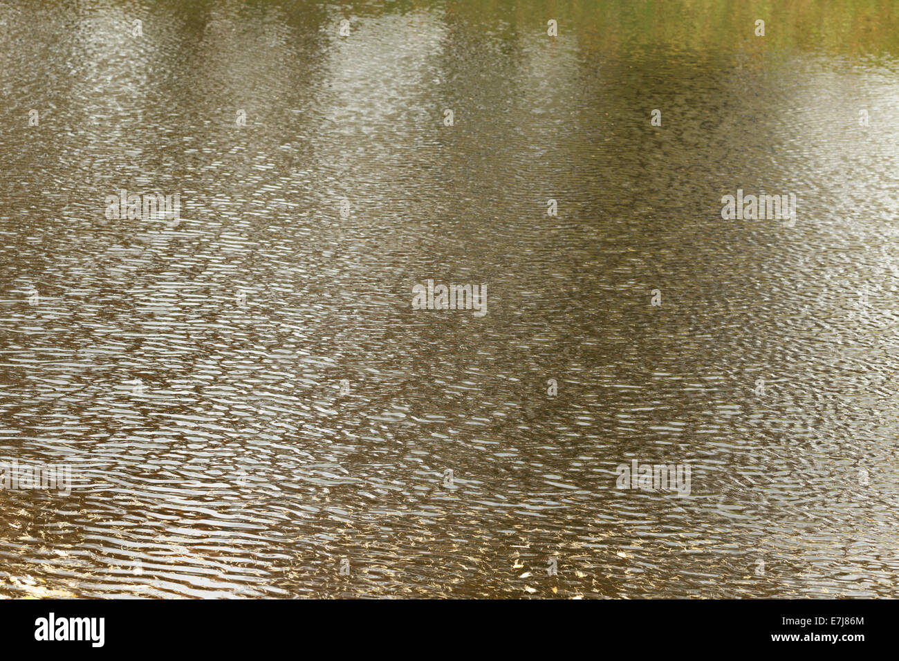 Pond water surface hi-res stock photography and images - Alamy
