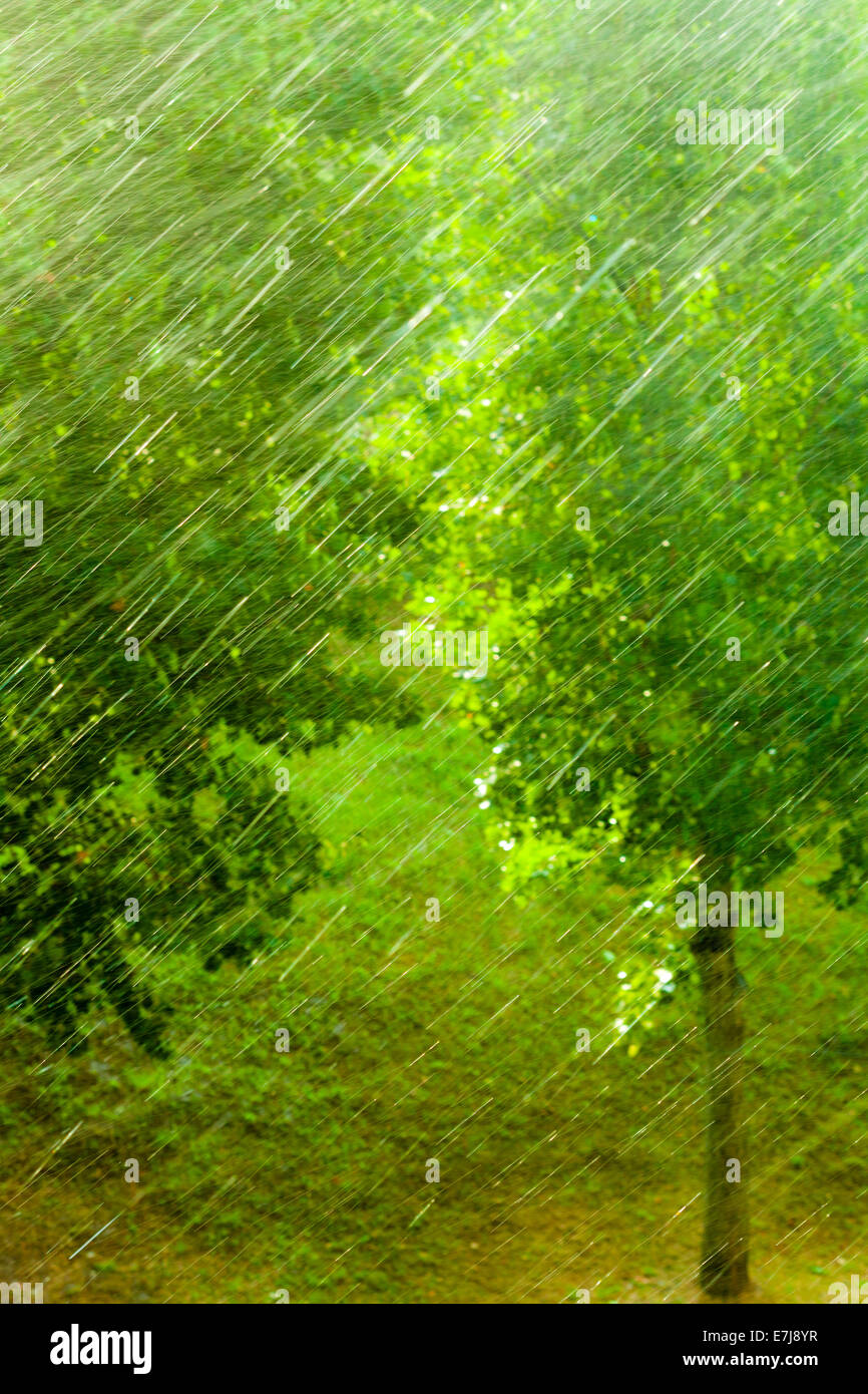Summer rainy outside window, water drops droplets raindrops on glass windowpane as background ...