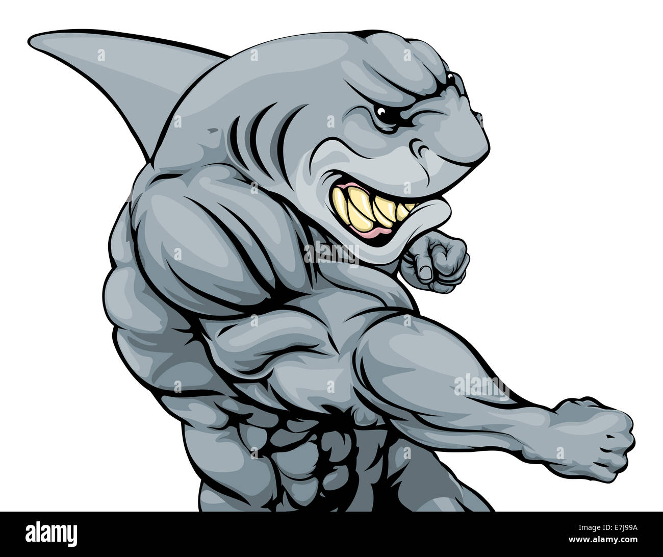 A tough muscular shark character sports mascot attacking with a punch ...