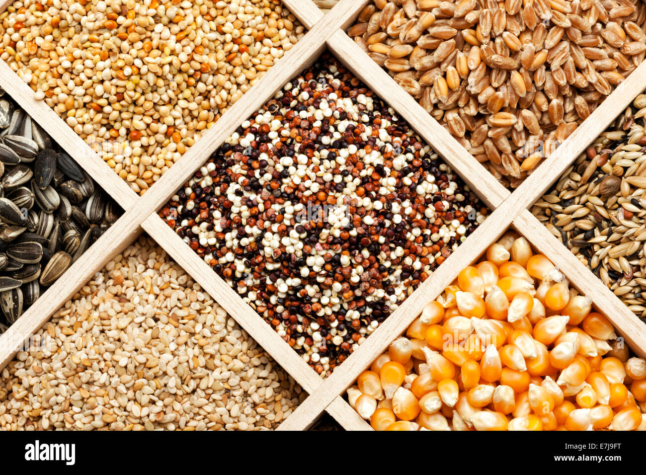 Assortment of seeds and grains in shadow box closeup Stock Photo - Alamy