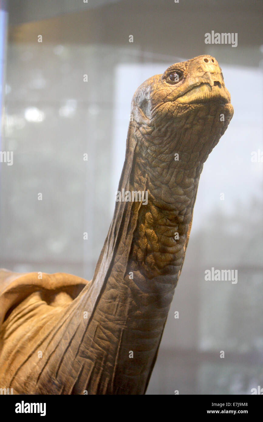 New York, USA. 18th Aug, 2014. Around two years after his death, the ...