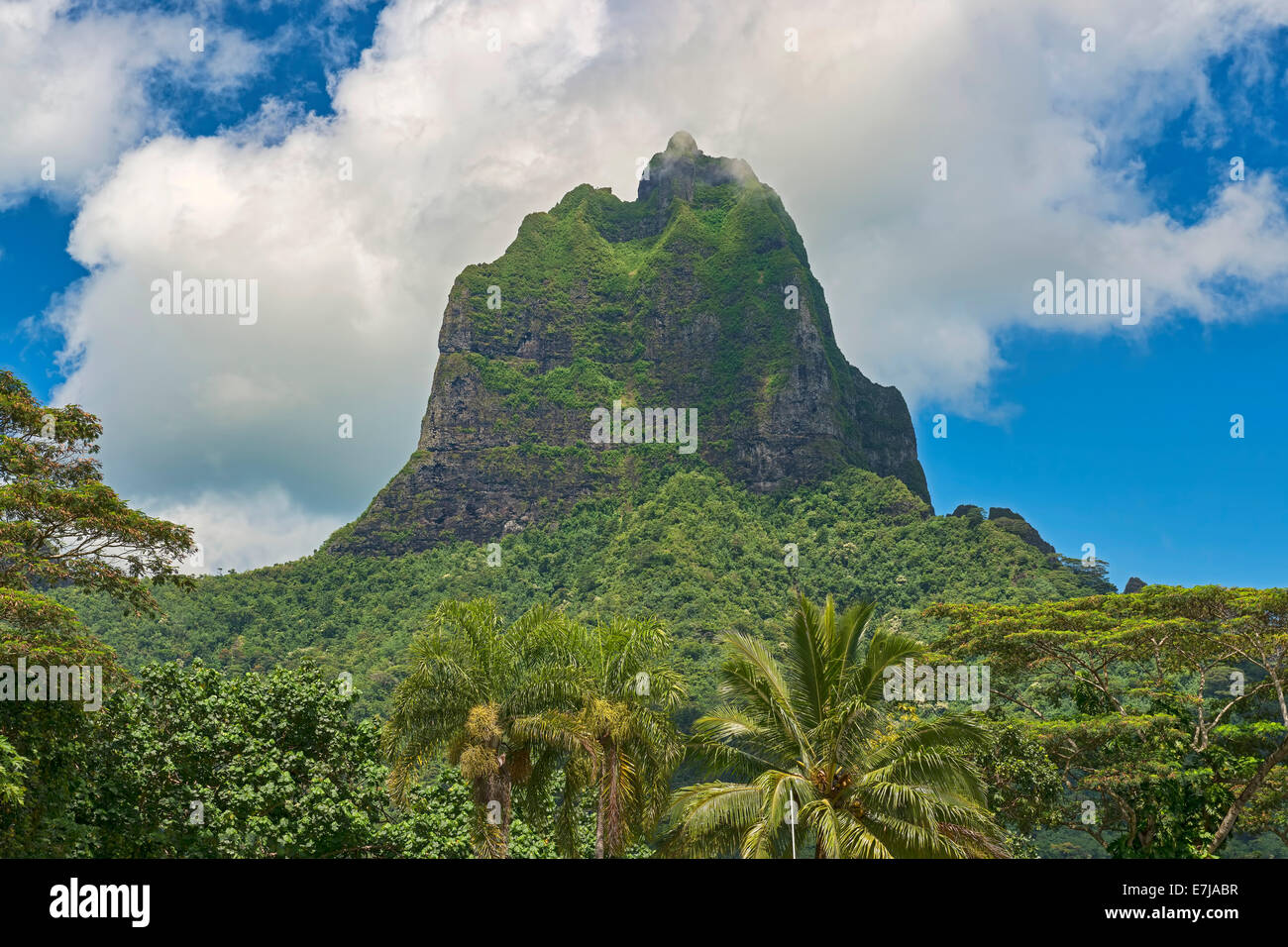 Mont Tohiea volcano, Mo'orea, French Polynesia Stock Photo - Alamy