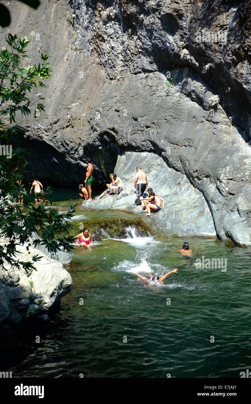 Swimming in Nature Stock Photo - Alamy