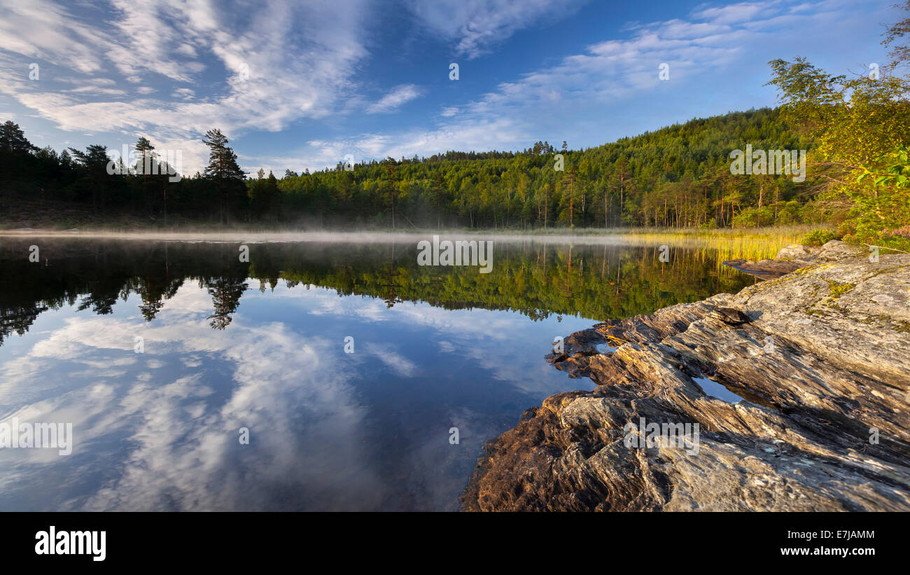 Morning fog over a lake, near Ed, Dalsland, Västra Götaland, Sweden ...
