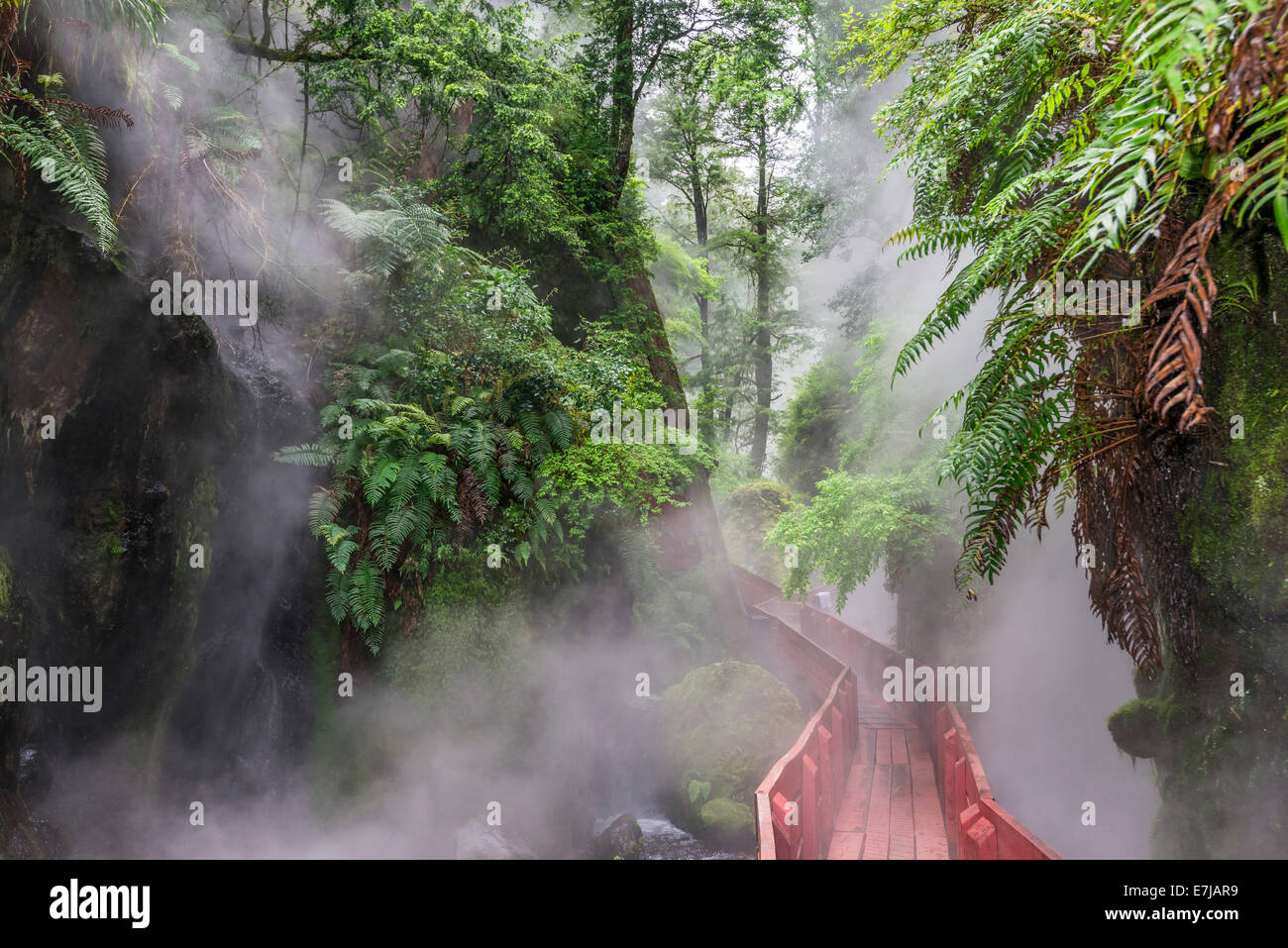Steaming hot springs in the gorge of the Termas Geometricas ...