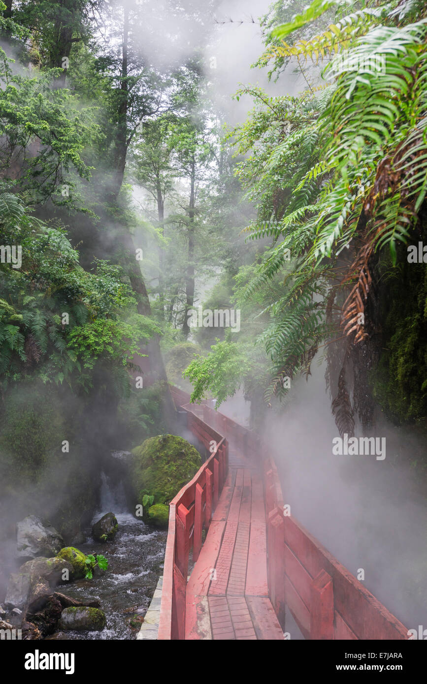 Steaming hot springs in the gorge of the Termas Geometricas ...