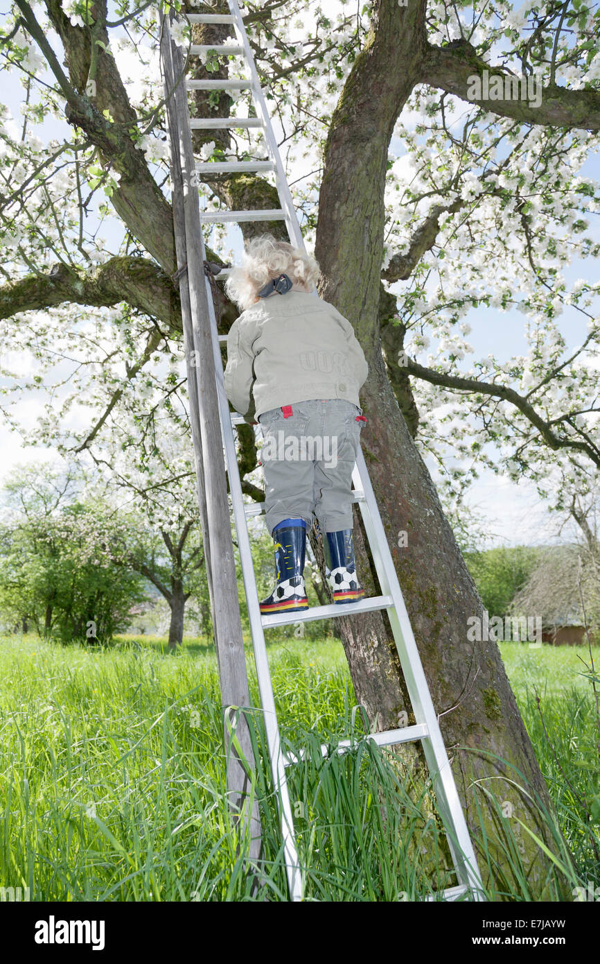 Child fruit scale hi-res stock photography and images - Alamy