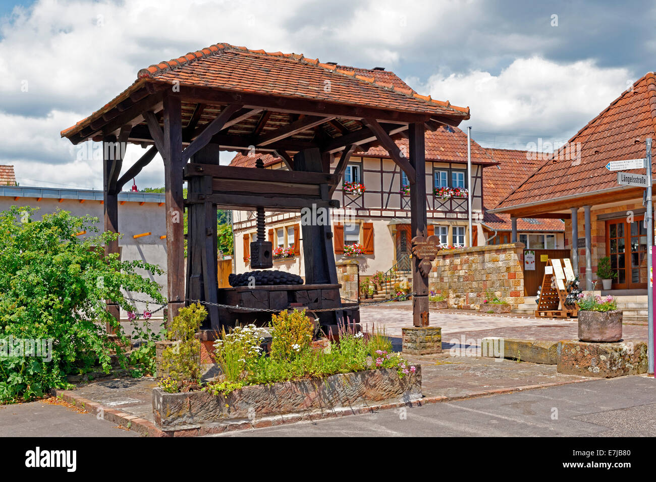 Europe, Germany, Rhineland-Palatinate, Schweigen-Rechtenbach, wine ...
