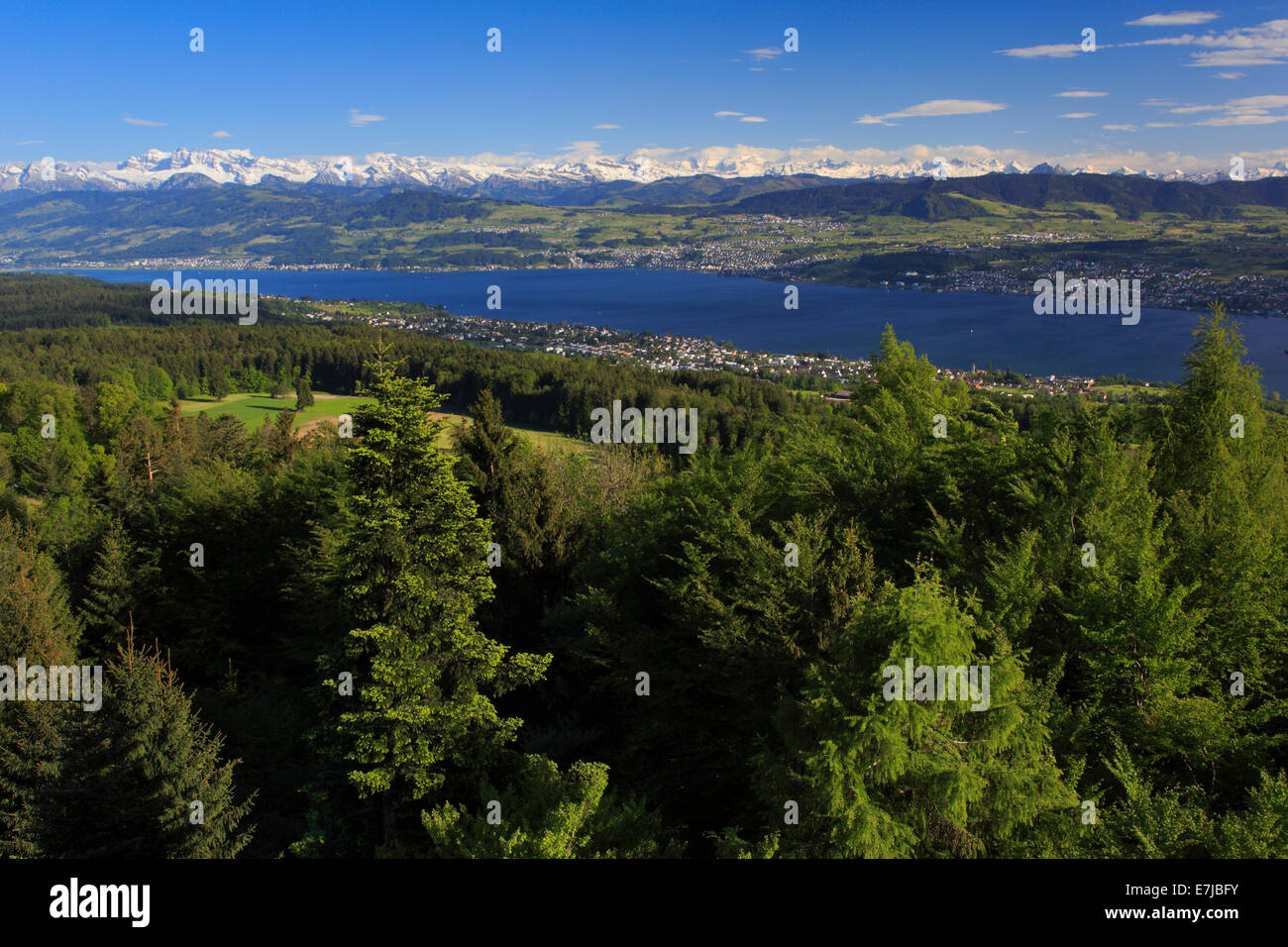 Alps, Alpine panorama, view, mountain, mountains, mountain panorama ...