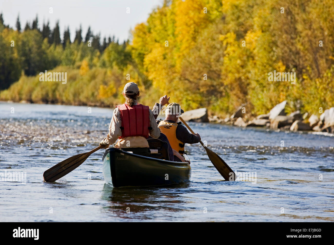 Men rowing a canoe, Tanana River, near Fairbanks, Alaska, USA Stock ...