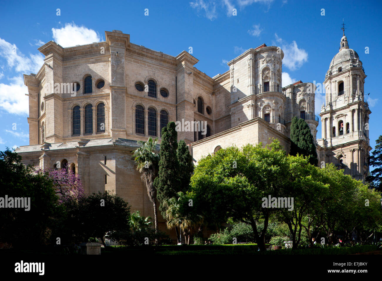 Málaga Cathedral, La Manquita, Malaga, Andalusia, Spain Stock Photo - Alamy