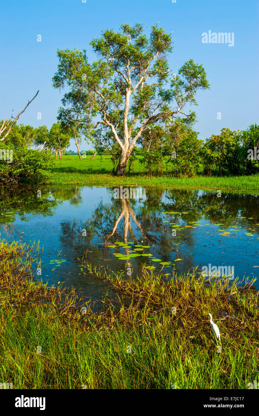 Kakadu National Park High Resolution Stock Photography and Images - Alamy