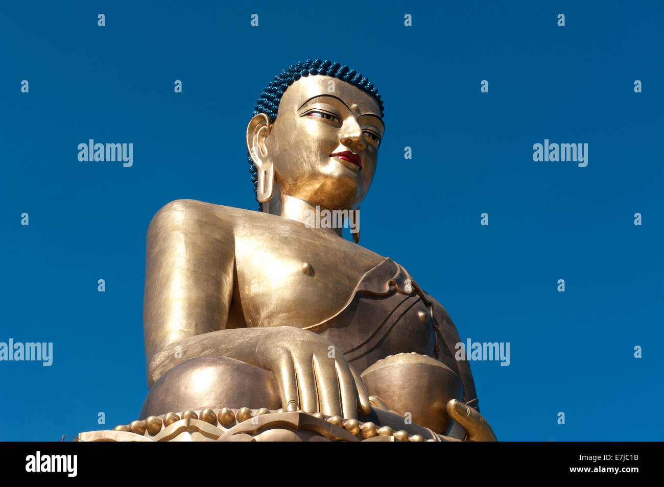 Buddha Dordenma, Great Buddha, bronze statue, Thimphu, Kingdom of ...