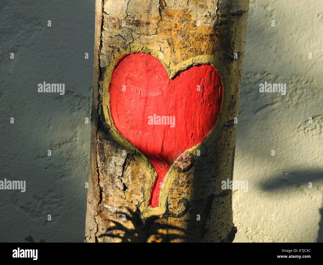 Carved Tree High Resolution Stock Photography and Images - Alamy