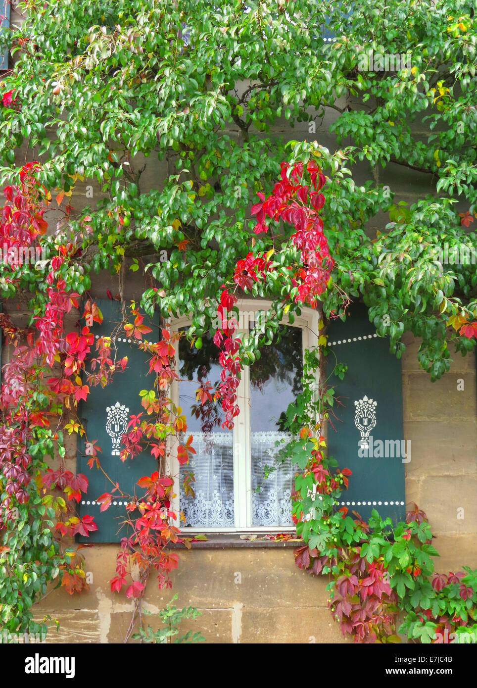Farm window hi-res stock photography and images - Alamy