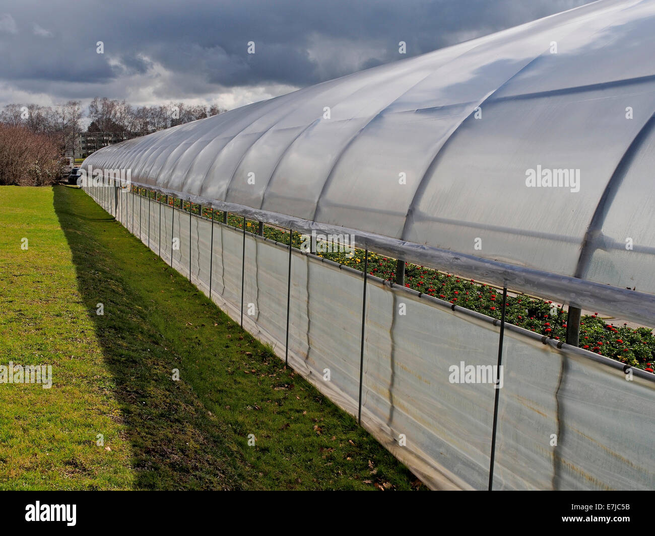 Switzerland canton zurich schwerzenbach hi-res stock photography and ...