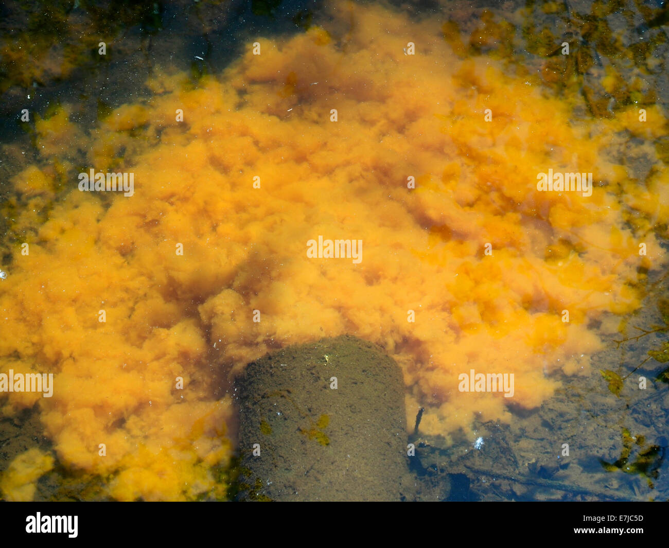 Switzerland, canton Zurich, environment, protection, sewage, effluent ...