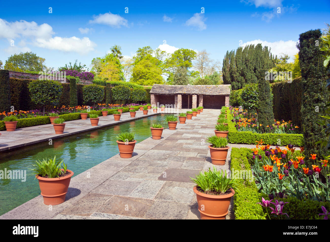 Spring flowers in the Dutch Garden at Hampton Court Castle ...