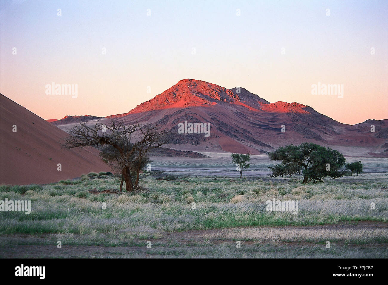Africa, plain, cliff, grass, Namibia, sunrise Stock Photo - Alamy