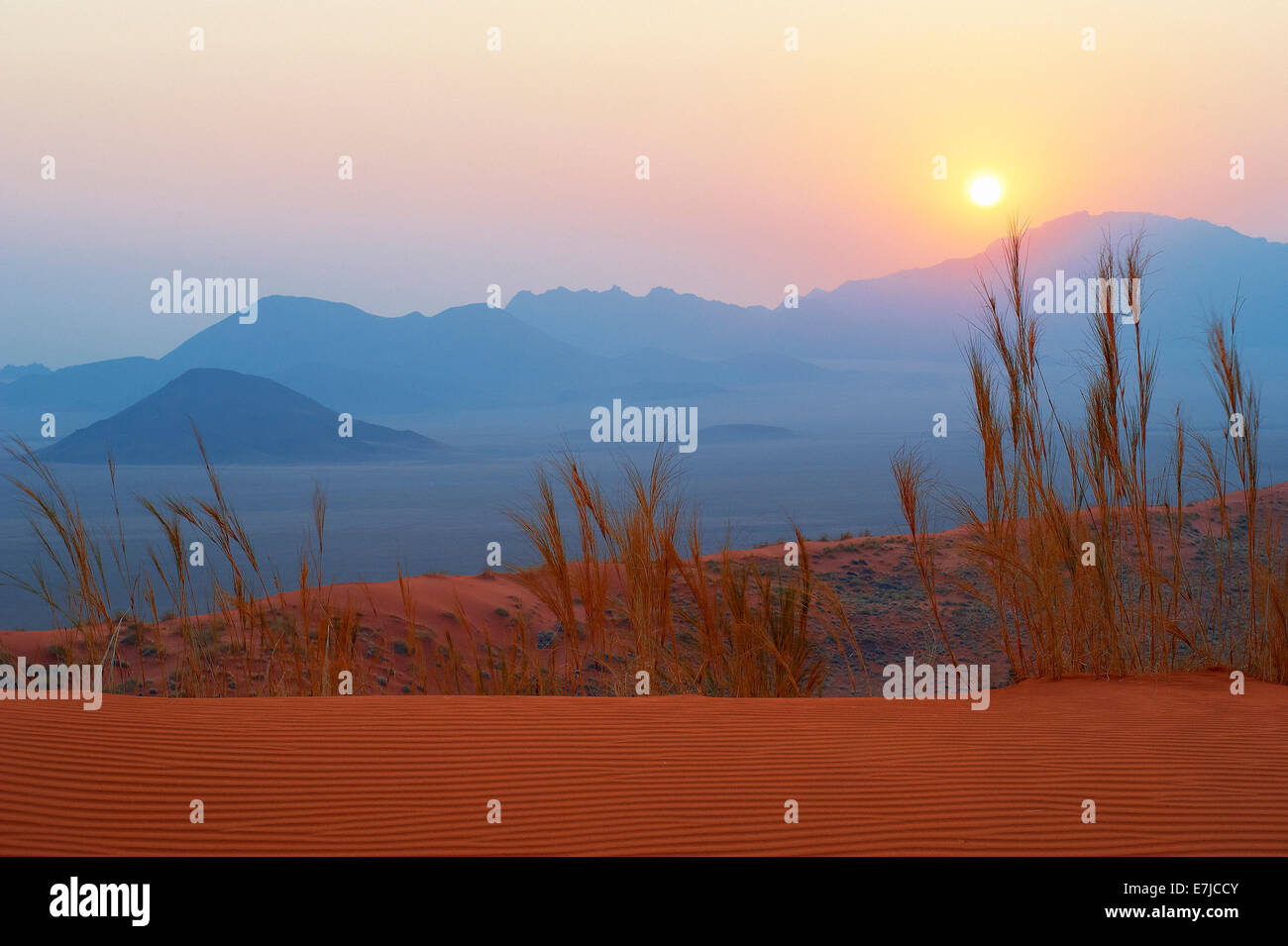 Africa, Namibia, sundown, Wolwedans, desert Stock Photo - Alamy