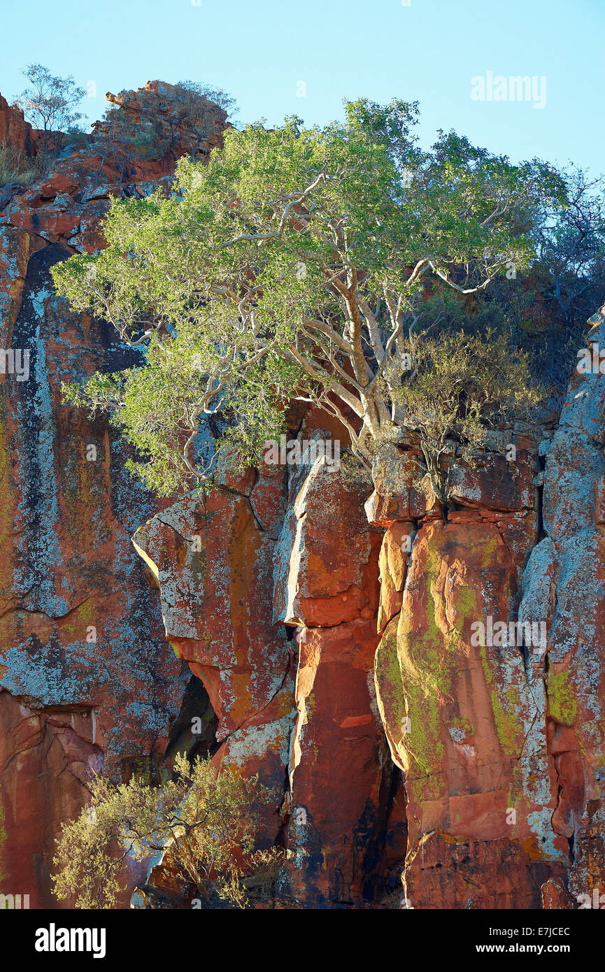 Africa, cliff, Namibia, sundown, stones, shrubs, bushes, mountain Water ...