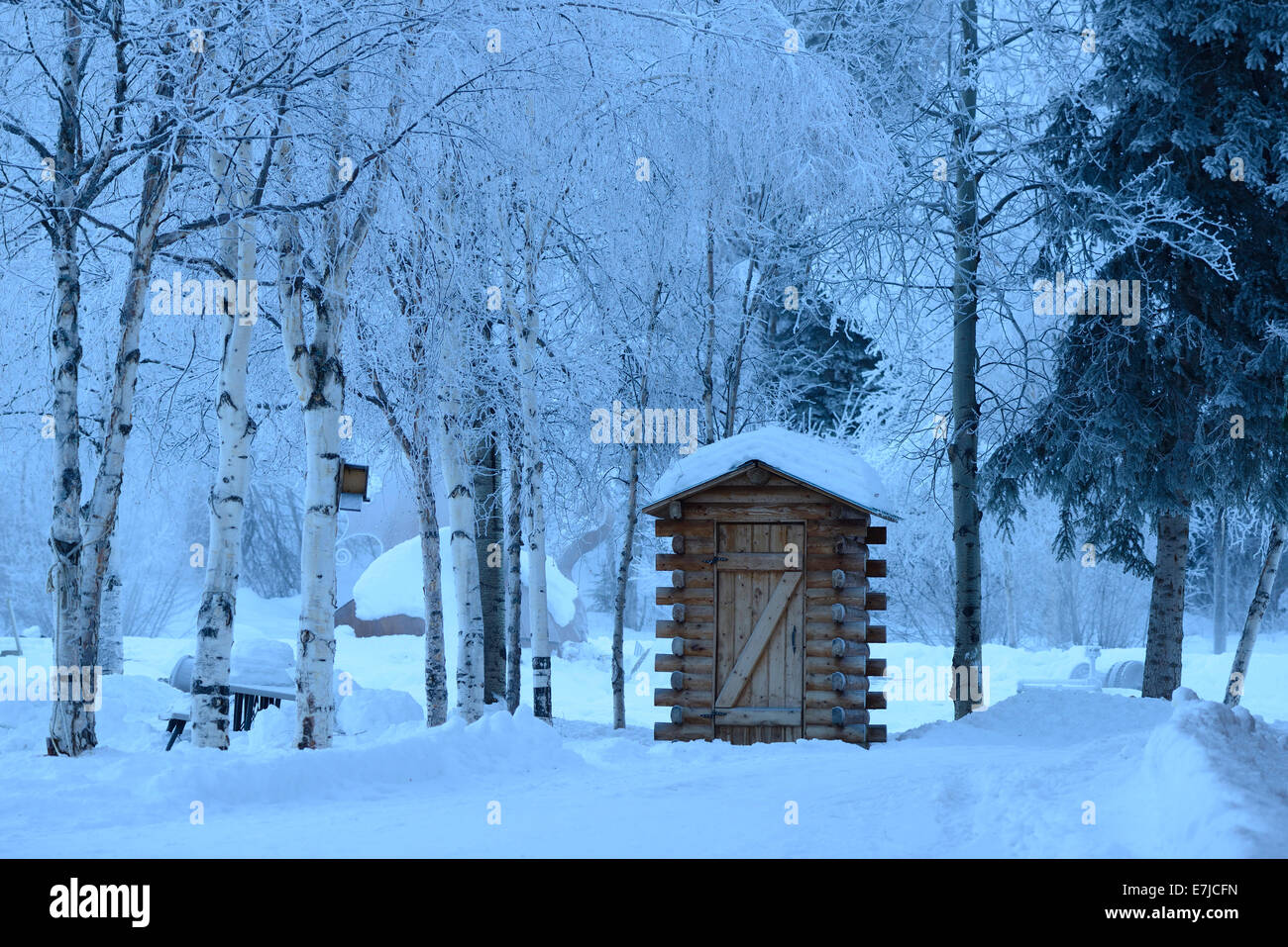 USA, United States, America, Alaska, Far North, Chena Hot spring ...