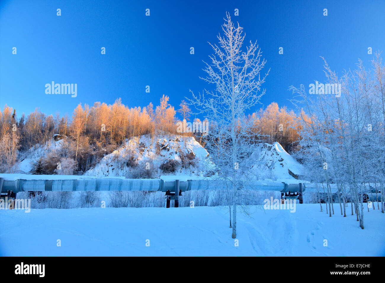 Fairbanks alaska hi-res stock photography and images - Alamy