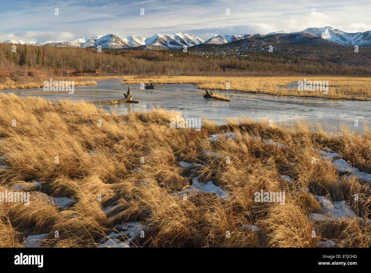 USA, United States, America, Alaska, wetland, Potter Marsh, marsh ...