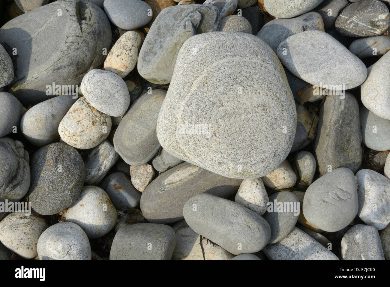 USA, United States, America, Maine, East Coast, coast, rocks, pebbles ...