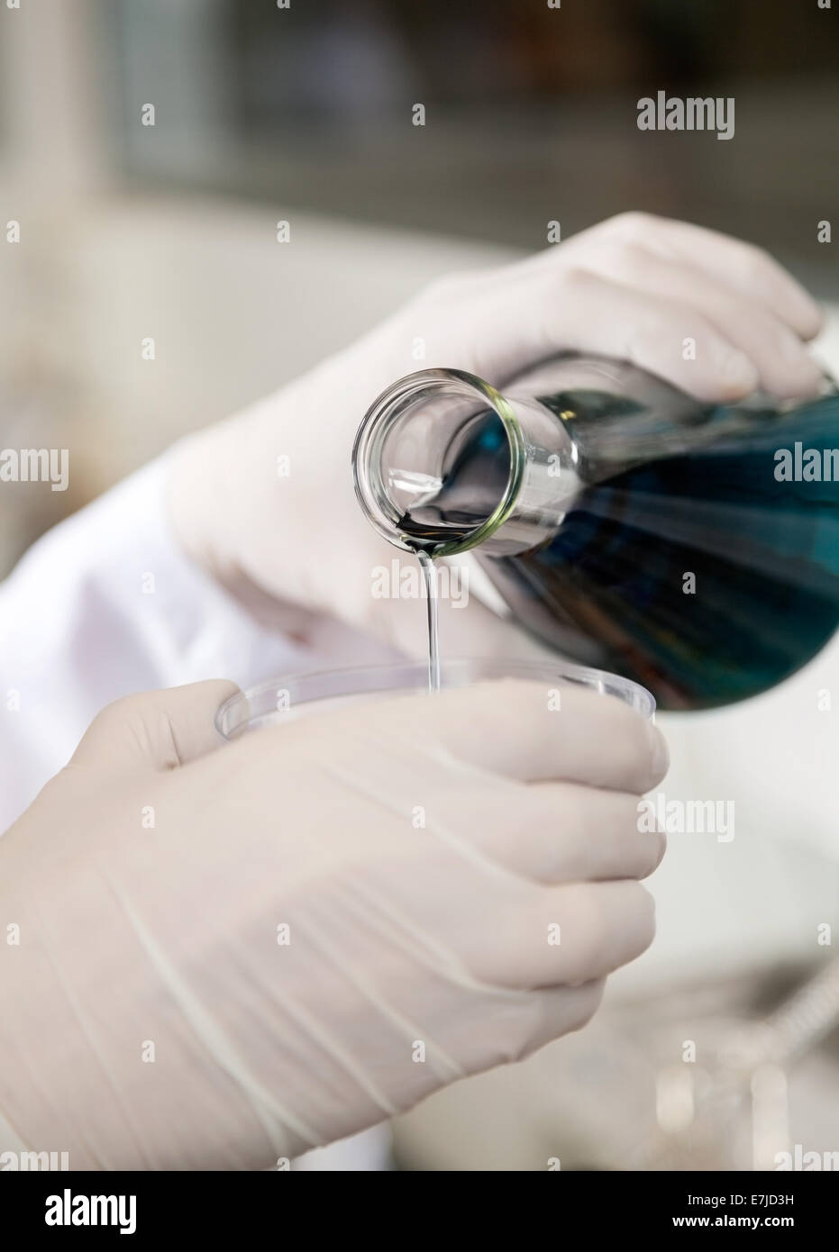 Researcher Pouring Solution Into Petri Dish Stock Photo - Alamy Researcher Pouring Solution Into Petri Dish Stock Photo - Alamy