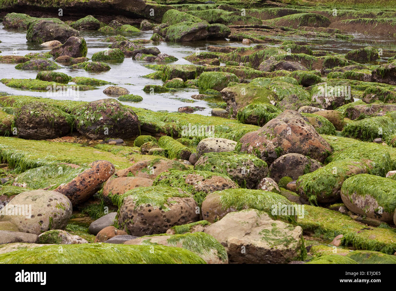 Rock park china hi-res stock photography and images - Alamy