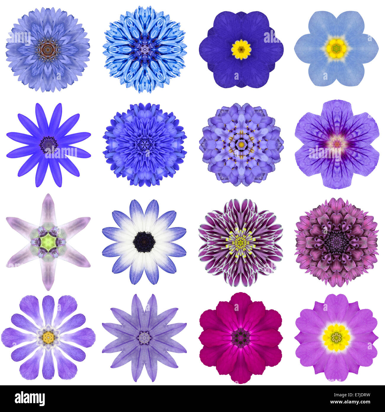 Concentr Cut Out Stock Images & Pictures - Alamy