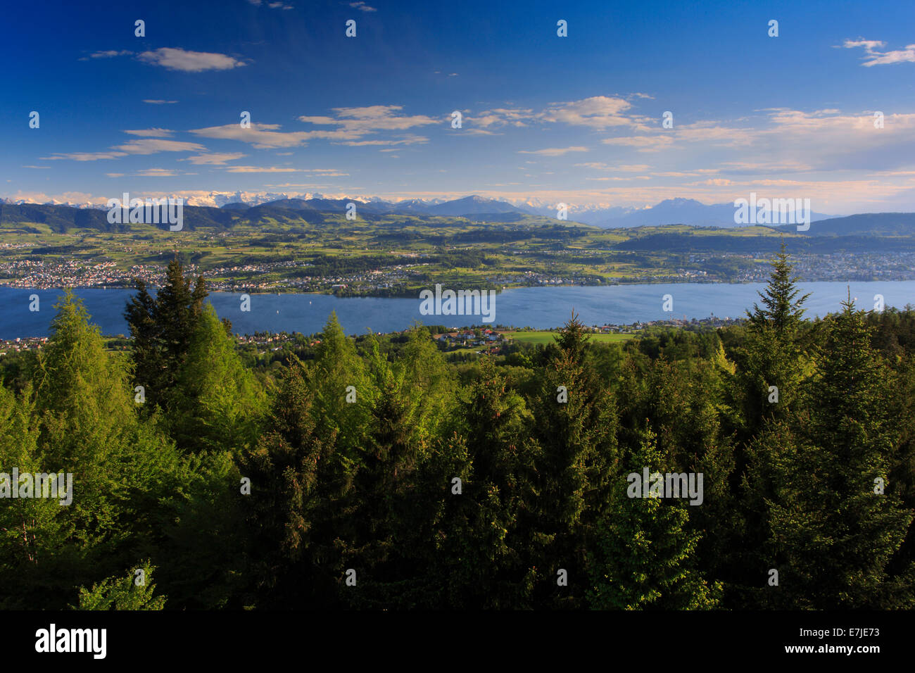 Alps, Alpine panorama, view, mountain, mountains, mountain panorama ...