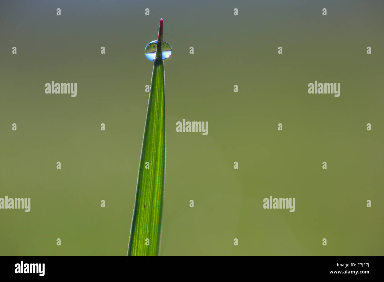 Rope pattern hi-res stock photography and images - Alamy