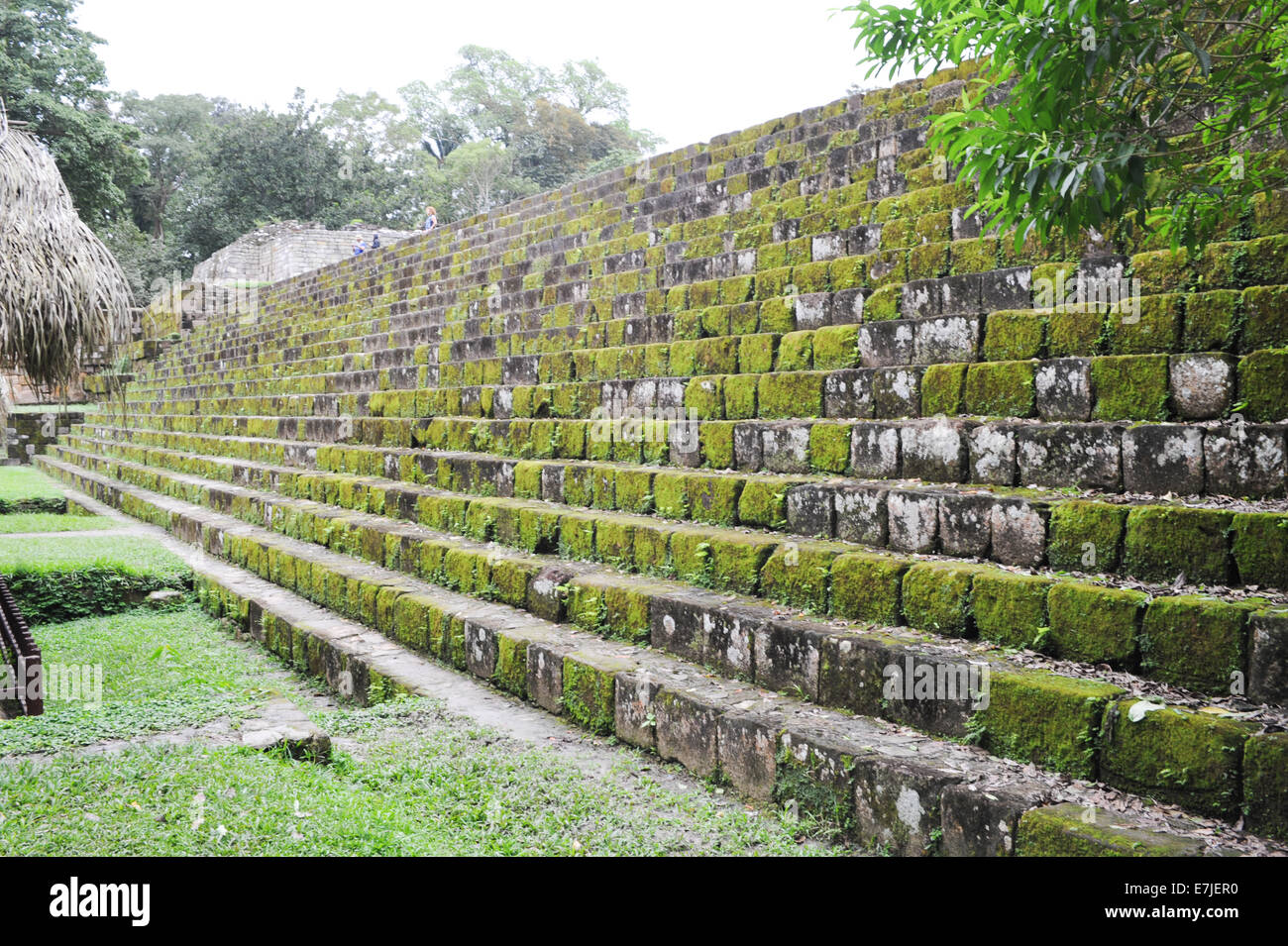 Guatemala, Central America, acropolis, archaeological Site, artwork ...