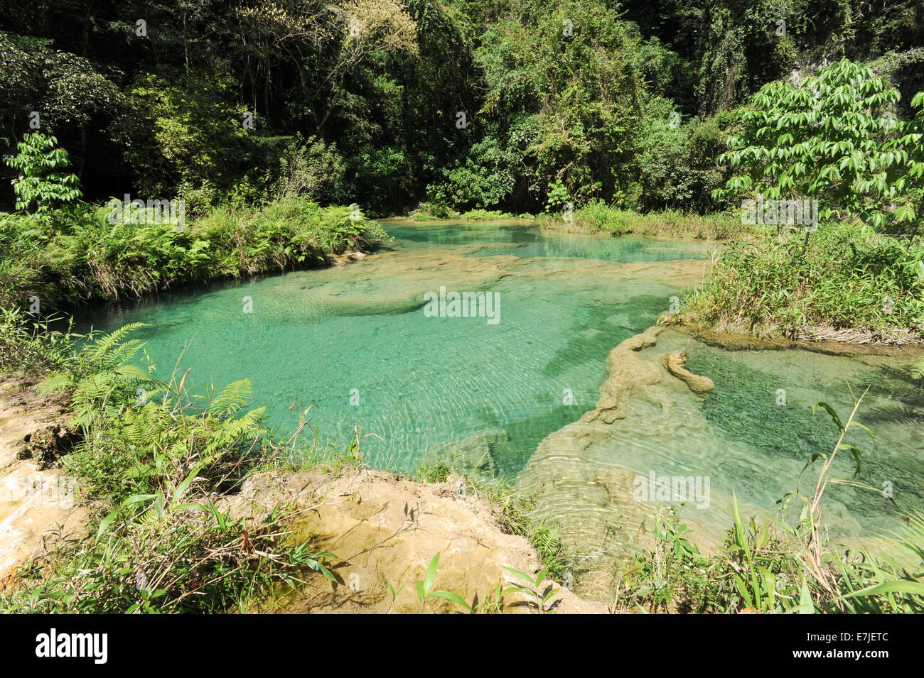 Semuc champey guatemala hi-res stock photography and images - Alamy