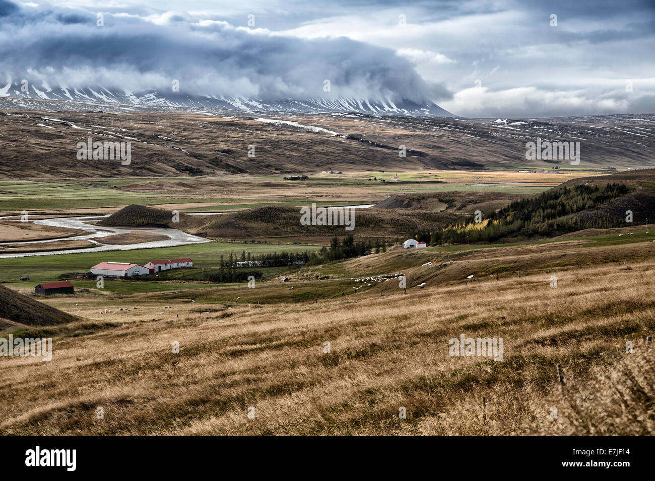 Iceland, Vatnsdalur, autumn, mood, river, flow, Vatnsdalsa, scenery ...