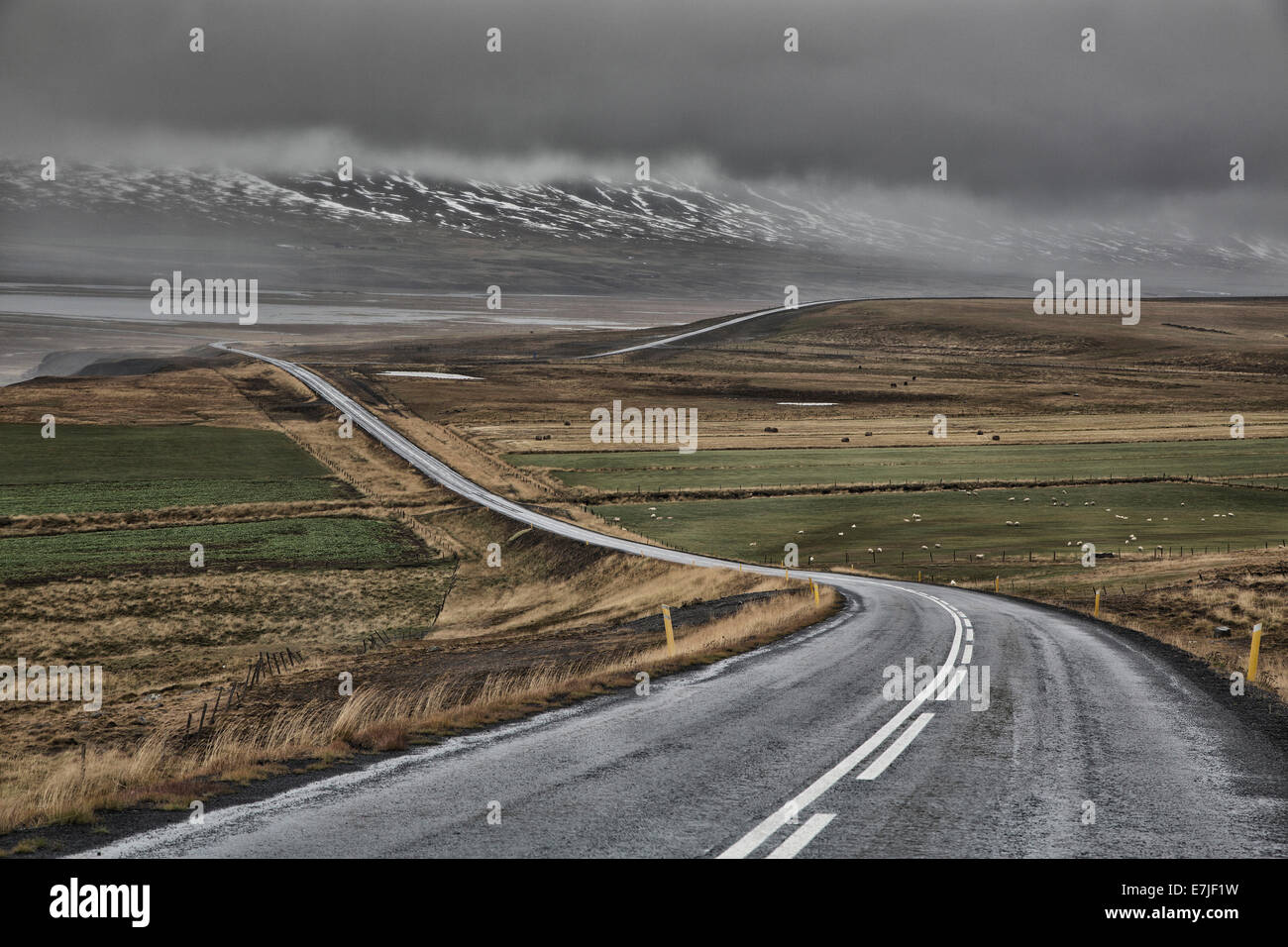 autumn, mood, Iceland, Europe, Saudarkrokur, street, clouds Stock Photo ...