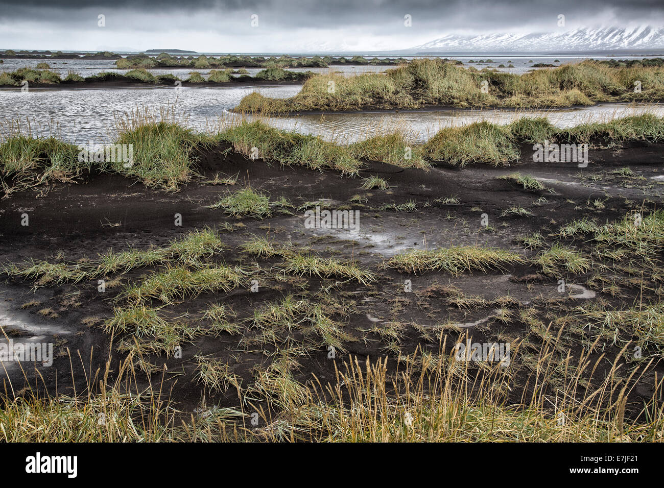 autumn, mood, Iceland, Europe, Saudarkrokur, scenery, landscape Stock ...