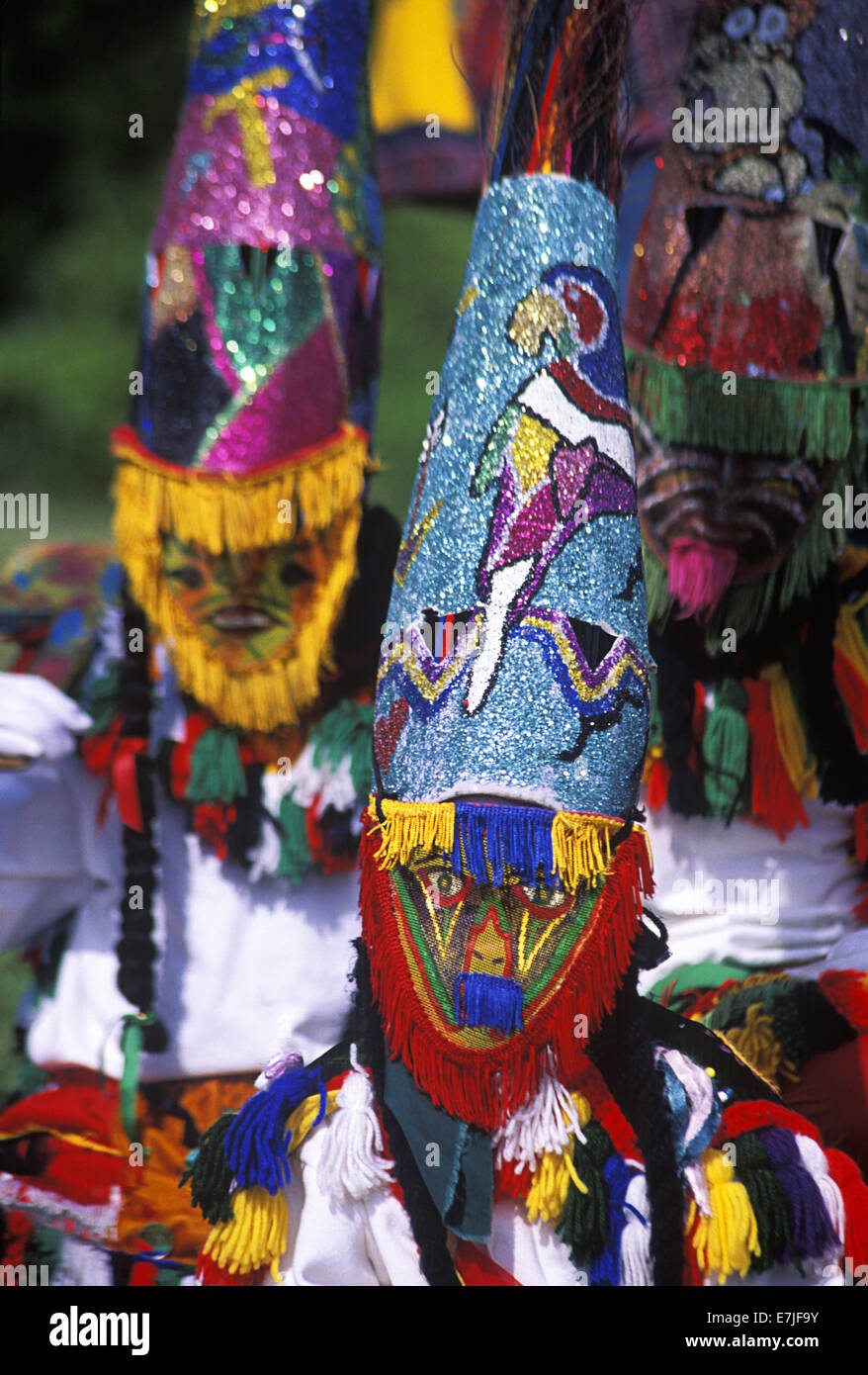 Goombeys, Spring Fever Festival, Warwick, Bermuda Stock Photo - Alamy