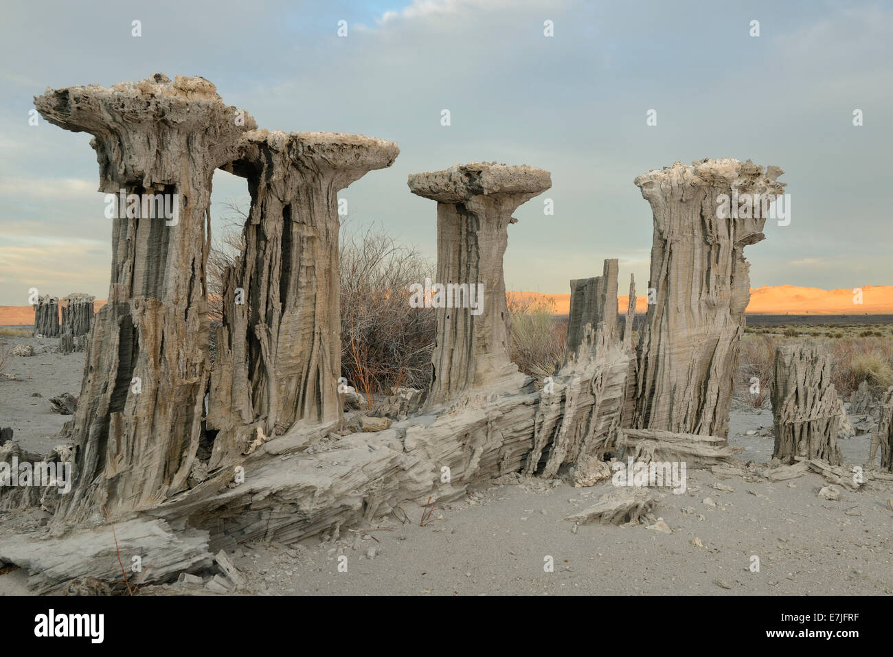 Mono Lake Sand Tufa