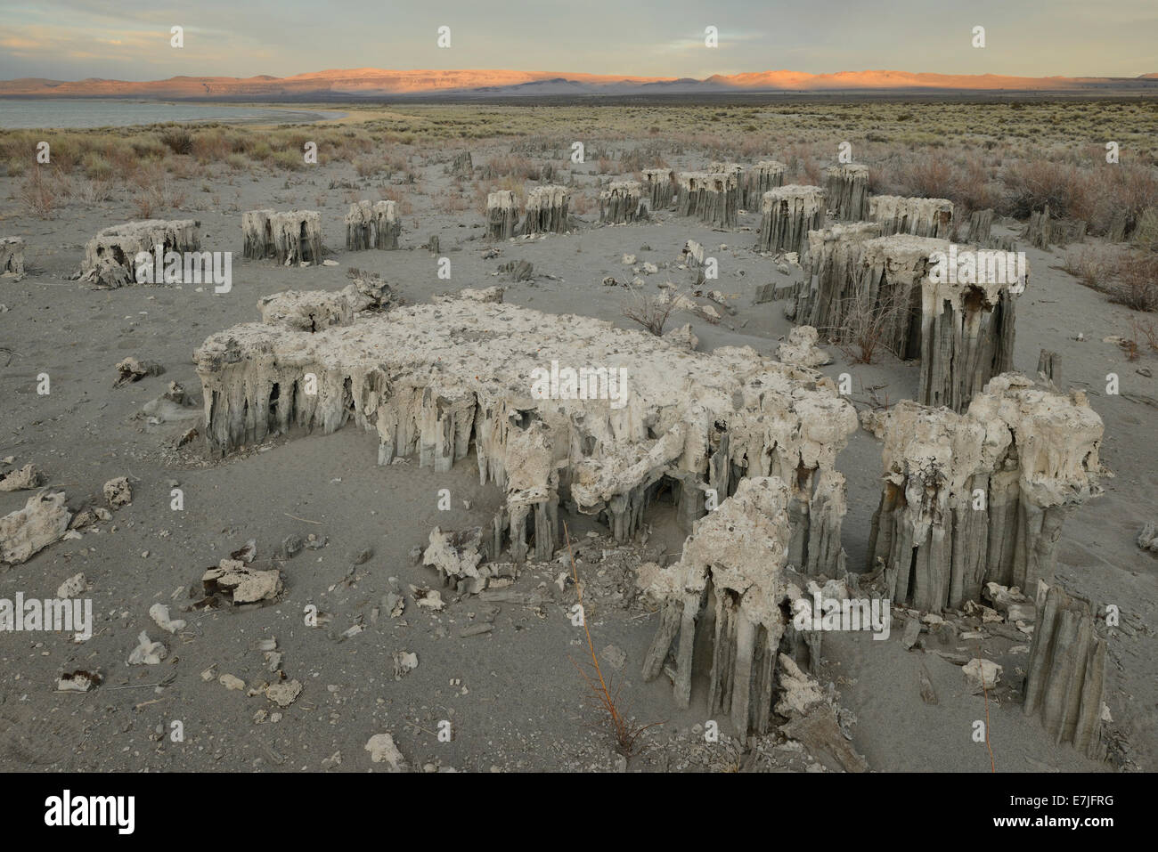 USA, United States, America, California, Tufa, Mono Lake, Sand tufas ...