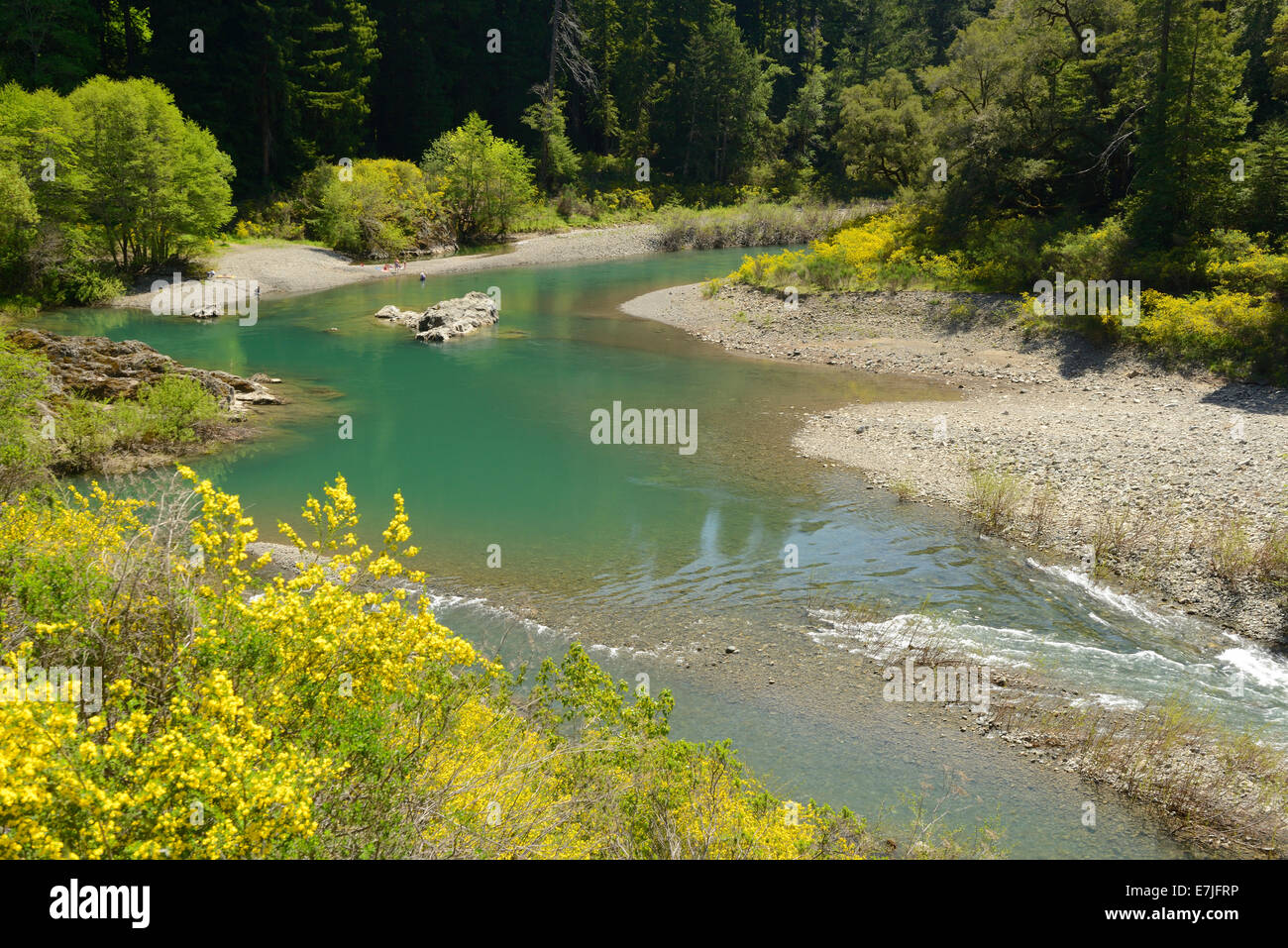 Eel river hi-res stock photography and images - Alamy