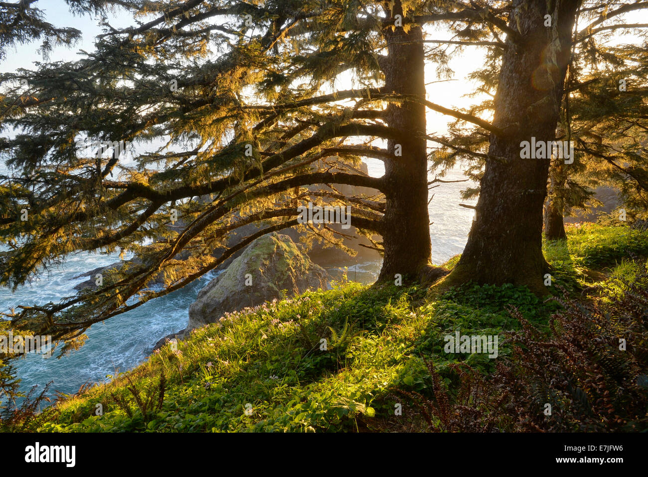 USA, United States, America, America, Oregon, Samuel S.Boardman, State ...