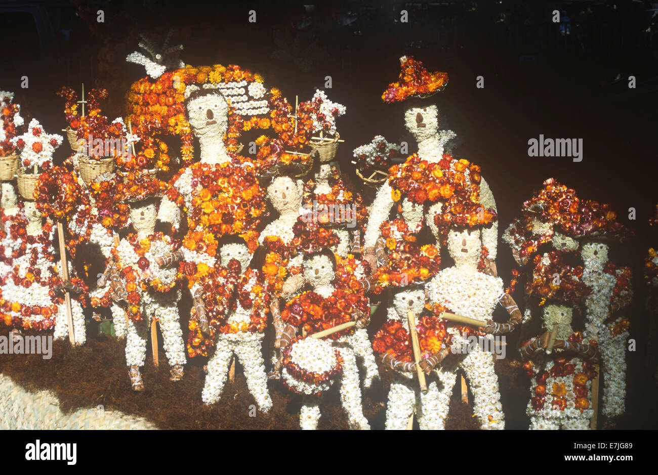 Dried Flowers, Night of the Radishes, Oaxaca City, Oaxaca, Mexico Stock ...