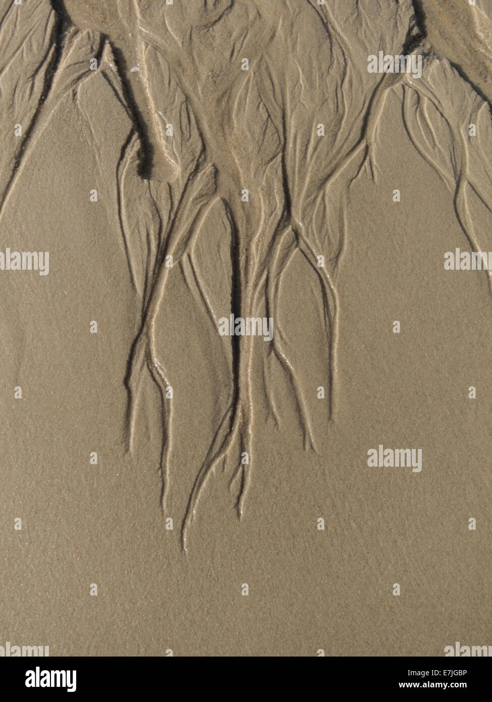 Tide, Sand, beach, structure, Sylt, Germany, Europe Stock Photo - Alamy