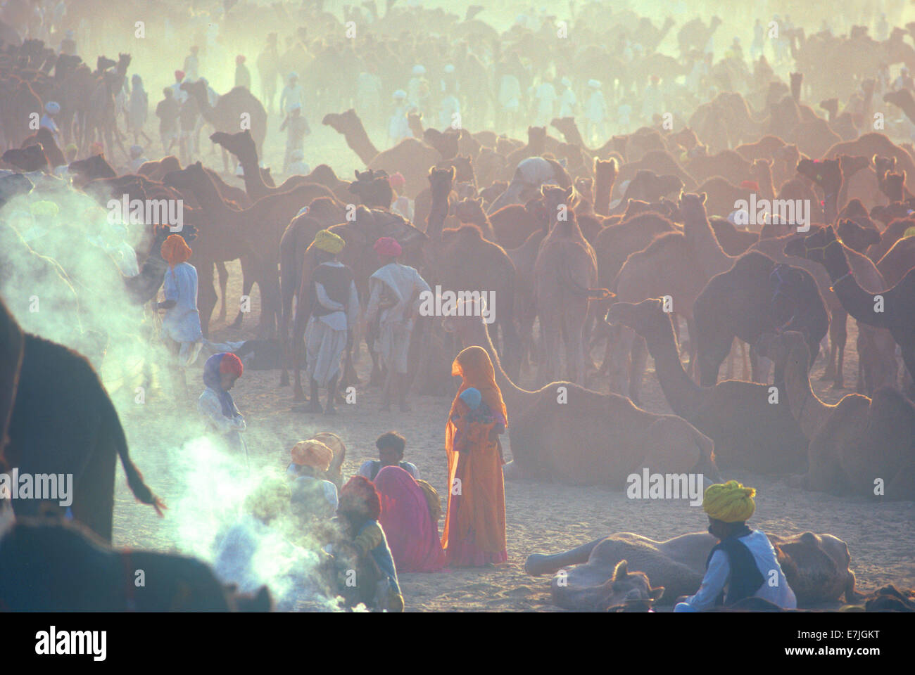 Festival pushkar hi-res stock photography and images - Alamy