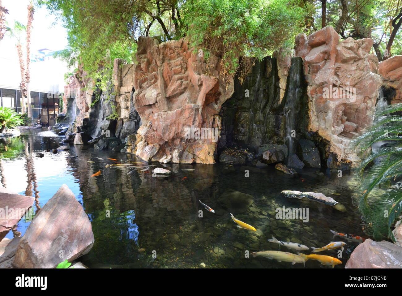 A rock pool with fish at a hotel in Las Vegas Stock Photo - Alamy