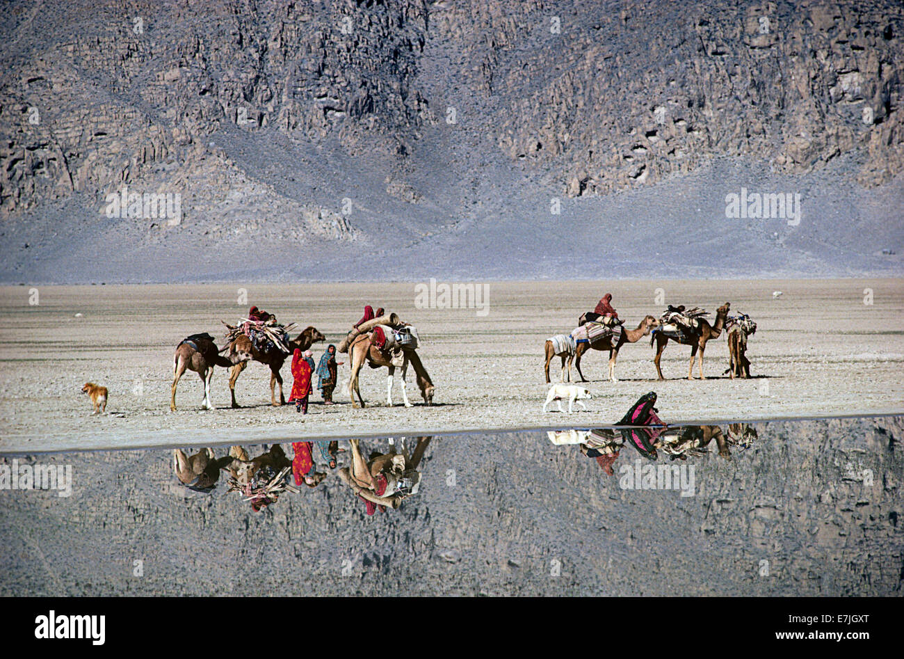 Nomads, Camel Caravan, Bolan Pass near Quetta, Baluchistan, Pakistan ...